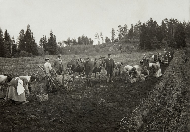 Pelätty vaivaistalo | Vankilahistoriaa | Tampereen korkeakouluyhteisö