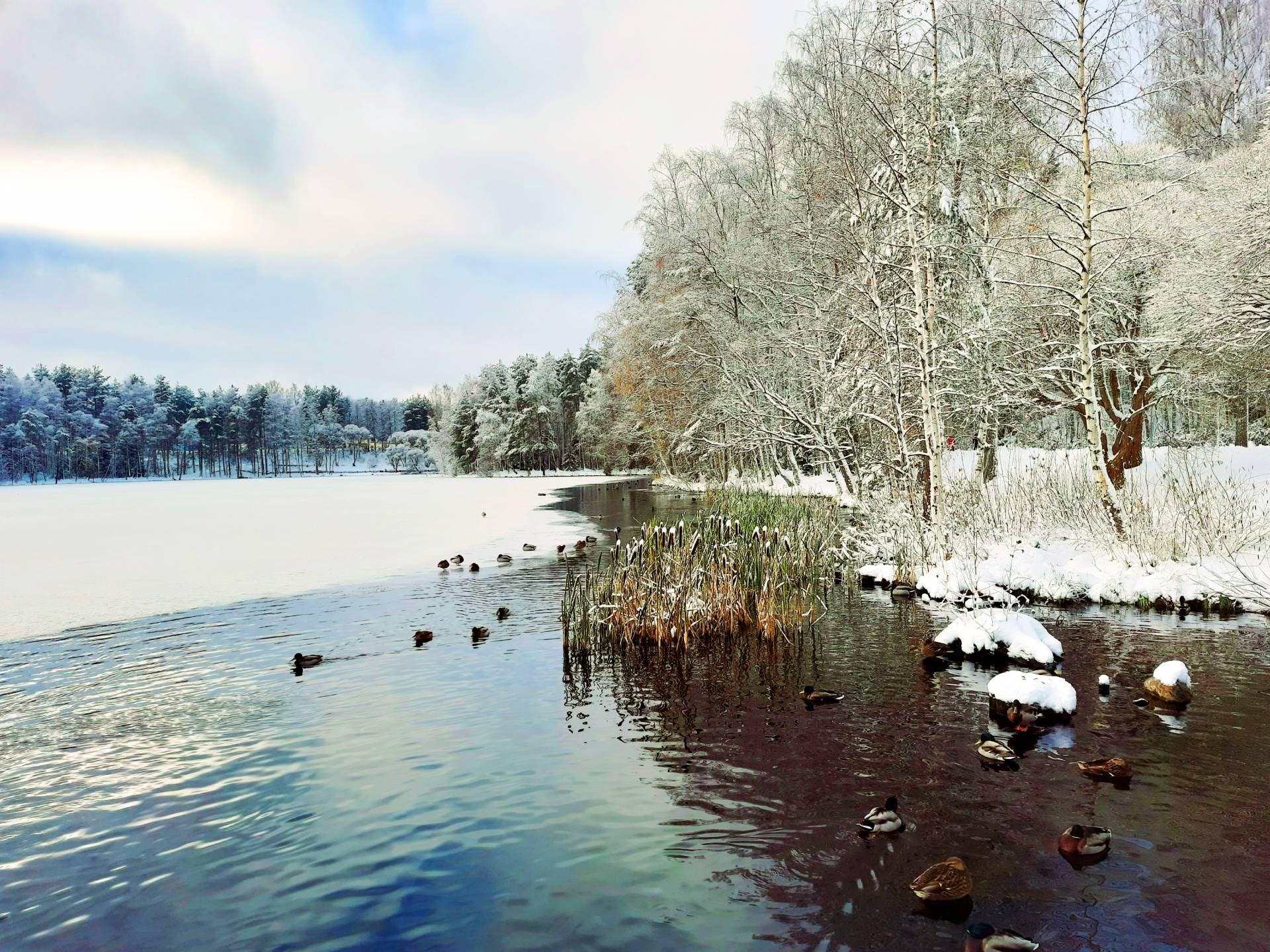 Are you experiencing dark days for the first time? | Tampere Student ...