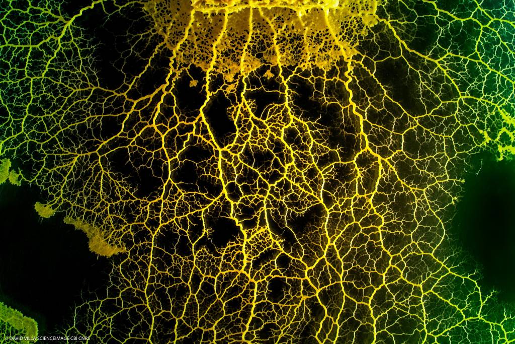 Arkijärki on opittu taito | Alusta! | Tampereen korkeakouluyhteisö