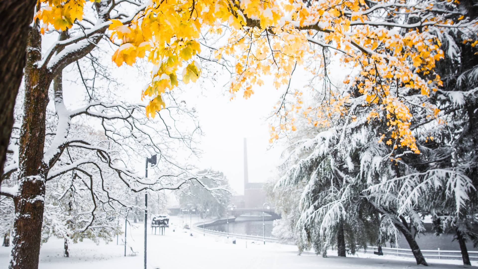 Embracing Tampere in November | Tampere Student Ambassadors Blog ...