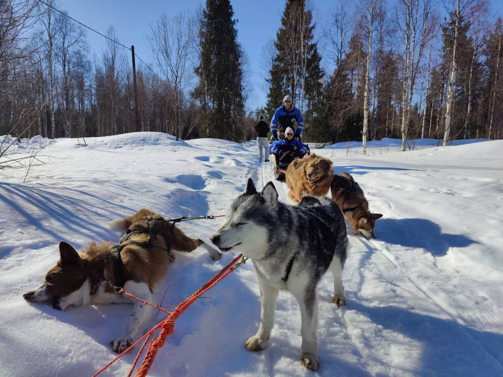 Finnish Tranquility | My Experiences of Finnishness | Tampere Universities