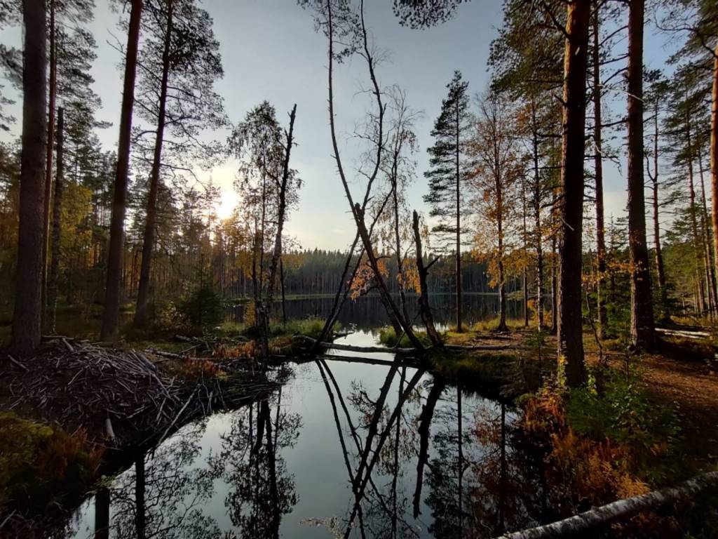 Ajatuksia opiskelumotivaatiosta | Opiskelijalähettiläät | Tampereen ...