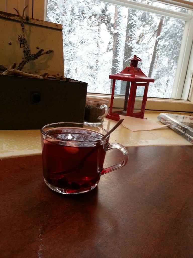 Beautiful Pyynikki – 7th meeting | Each One Teach One | Tampere ...