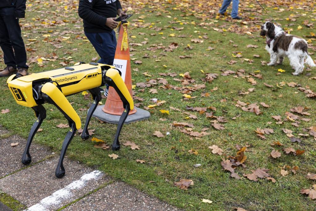 Who is the yellow dog? It’s TAssU Spot Robonen! | Computing Sciences ...