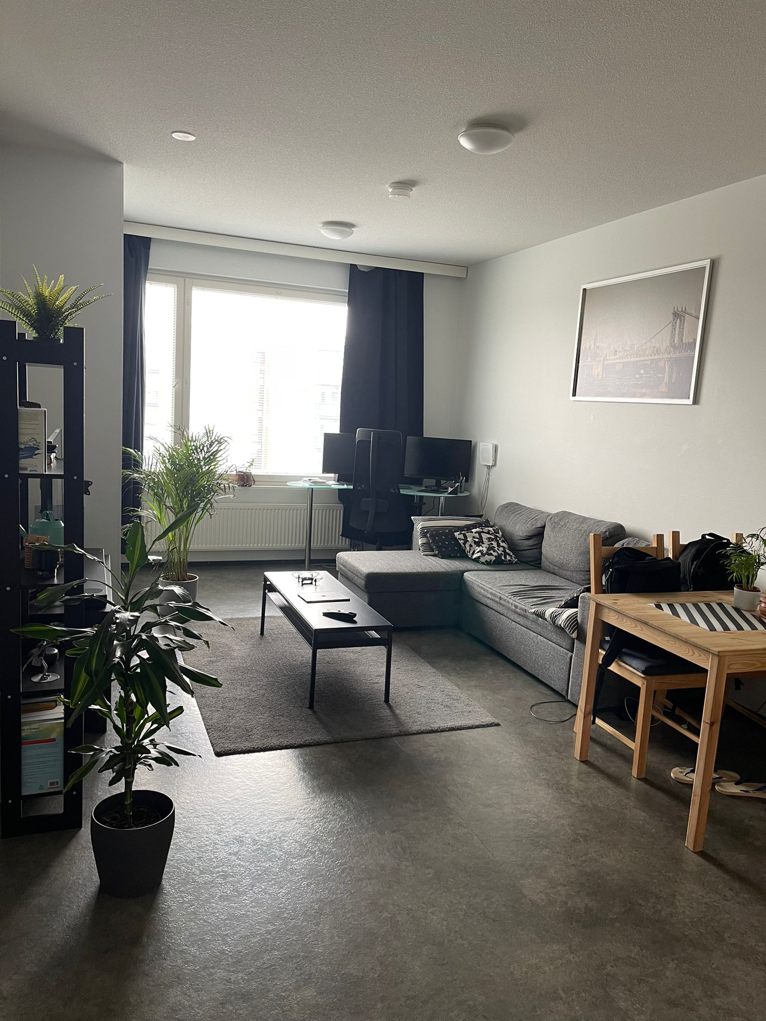Exploring the Student Housing Scene in Tampere | Tampere Student ...