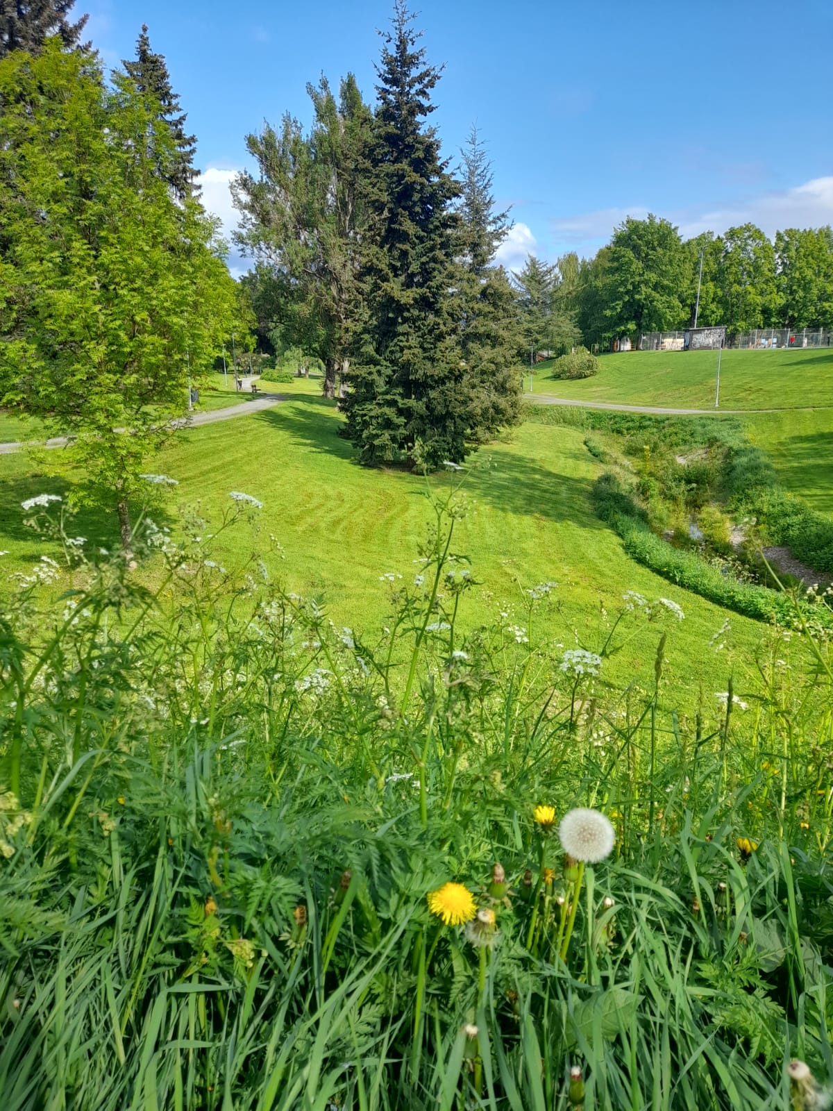 Summer? In Finland?!? | Tampere Student Ambassadors Blog | Tampere ...