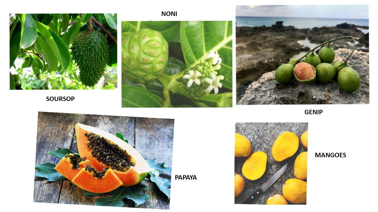 Meeting 3: Fruits | Each One Teach One | Tampere Universities